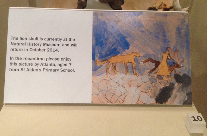 we had to remove the skull so here is a kid's drawing of a lion | MLTSHP