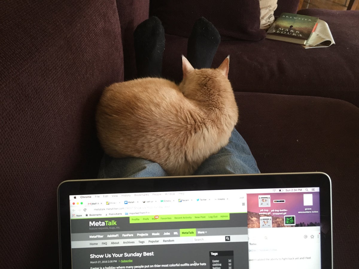 My Sunday Best | MLTSHP