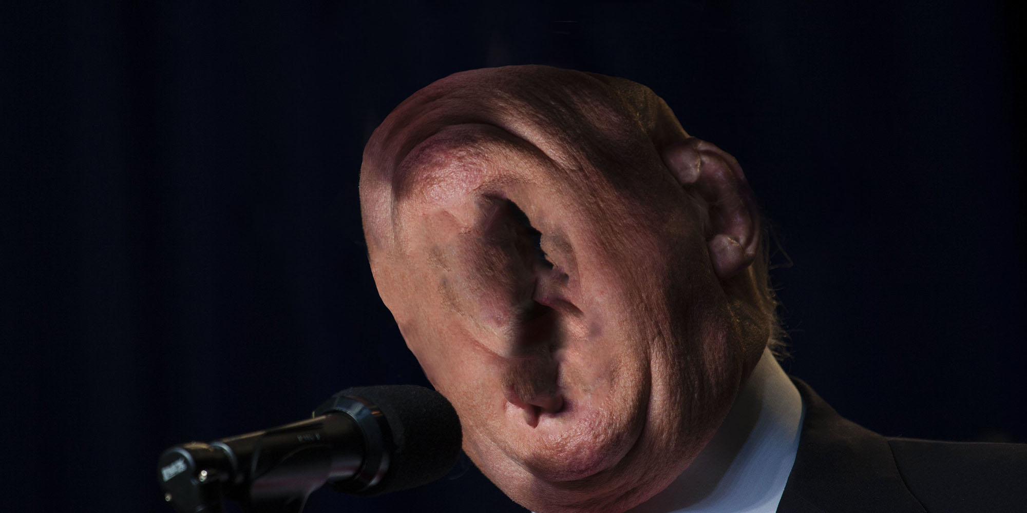 Trimp d004f8b76.jpg | MLTSHP