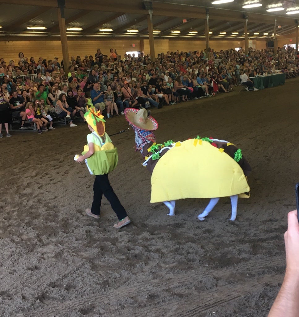 Alpaca taco FTW | MLTSHP