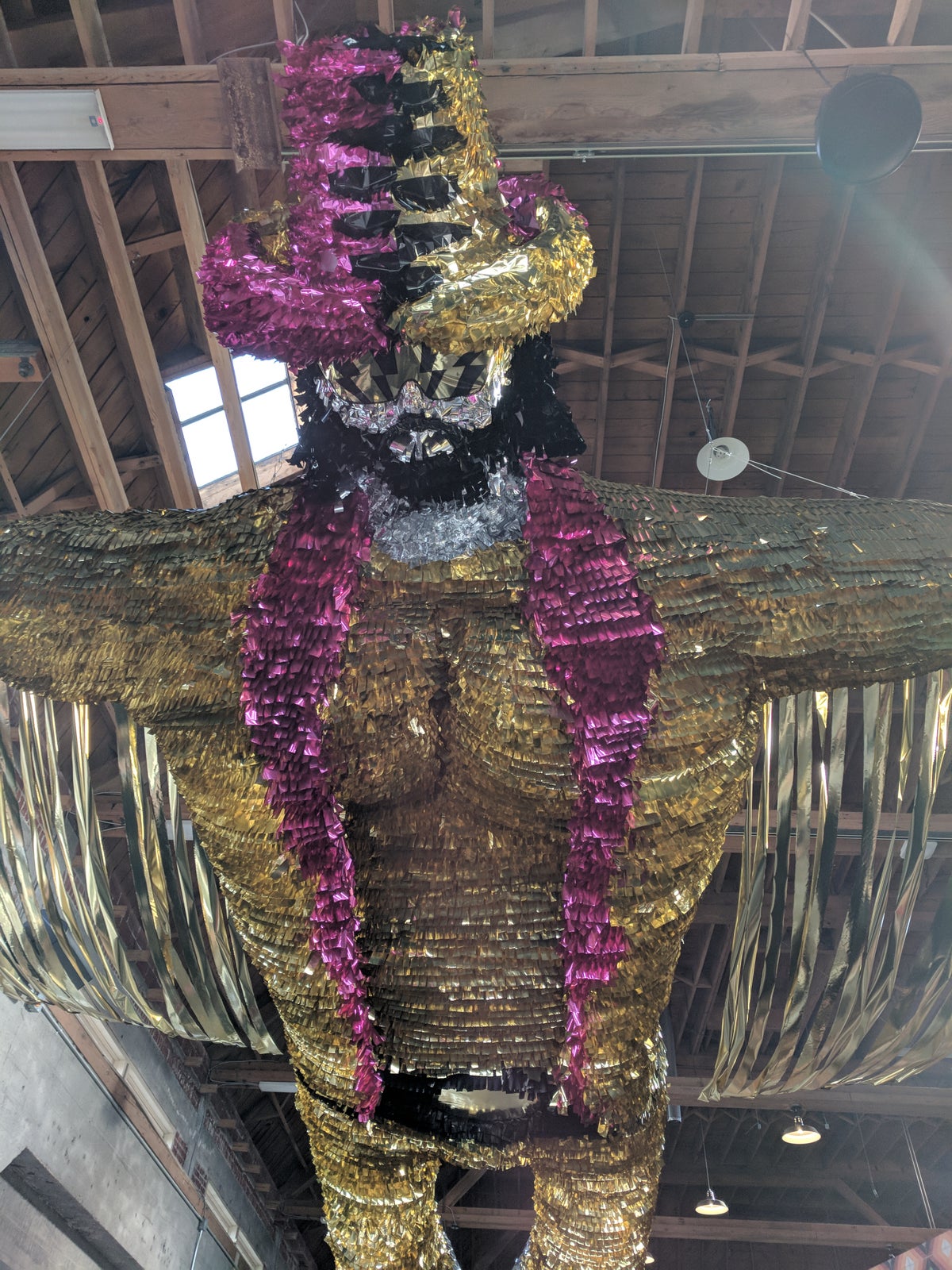 The Macho Man | MLTSHP