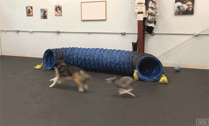 pair programming | MLTSHP