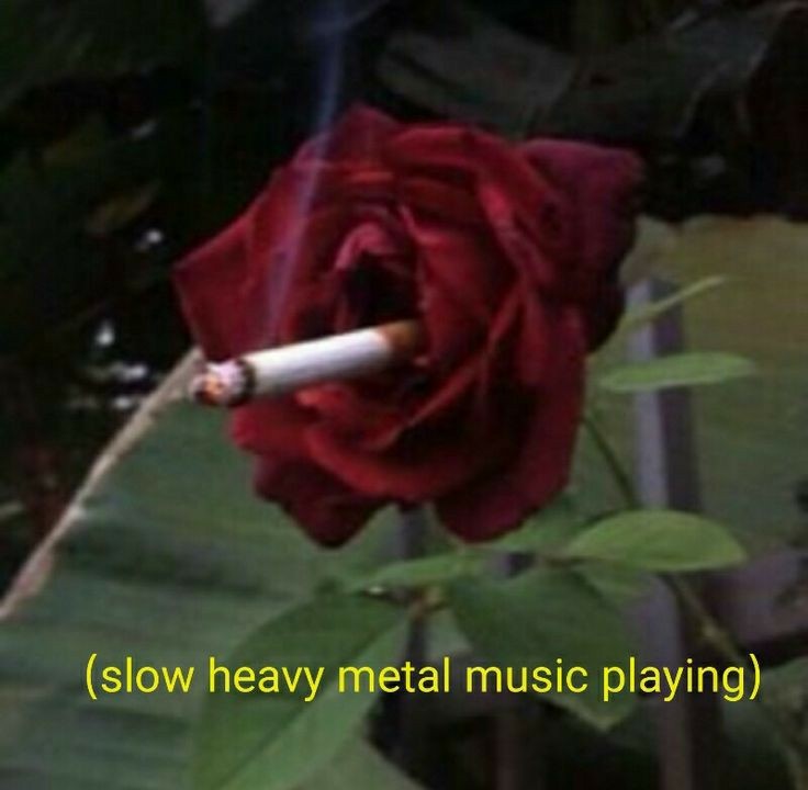  slow Heavy Metal Music Playing MLTSHP