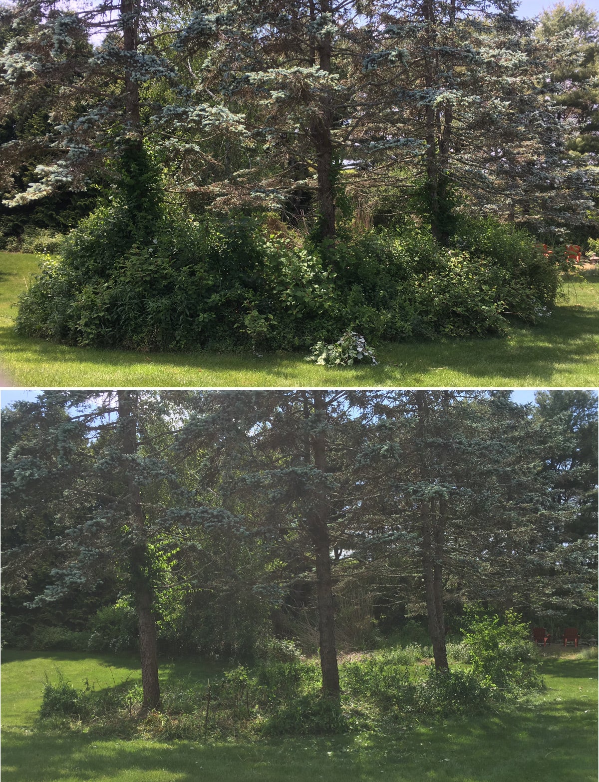 today's work | MLTSHP