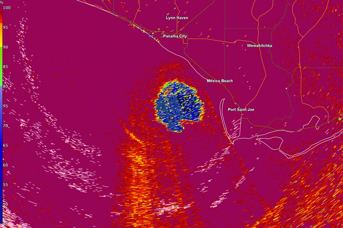 Birds sucked into the eye of Hurricane Michael | MLTSHP