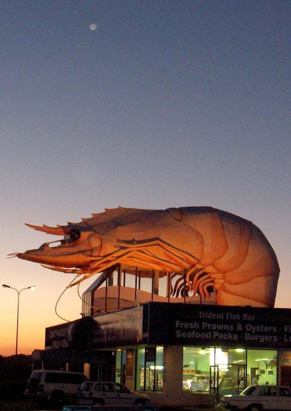 The Big Prawn - Ballina, NSW | MLTSHP