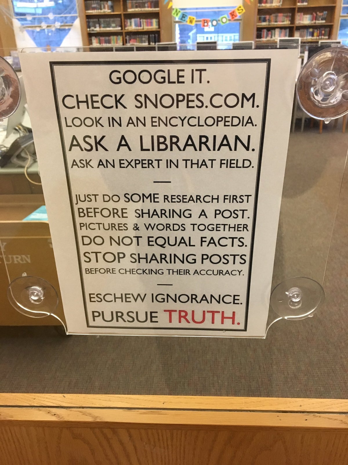 Eschew Ignorance | MLTSHP