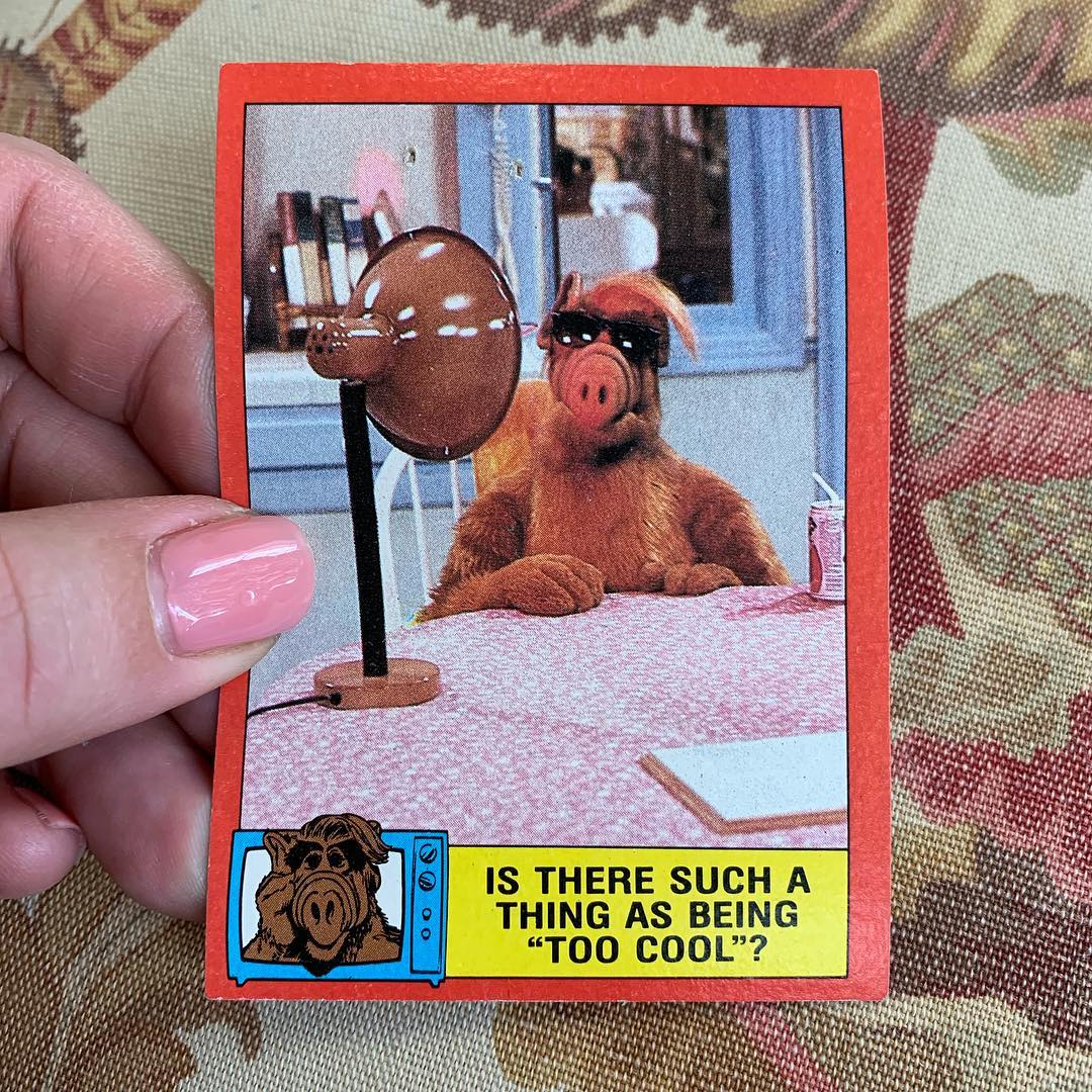 Well, is there? | MLTSHP