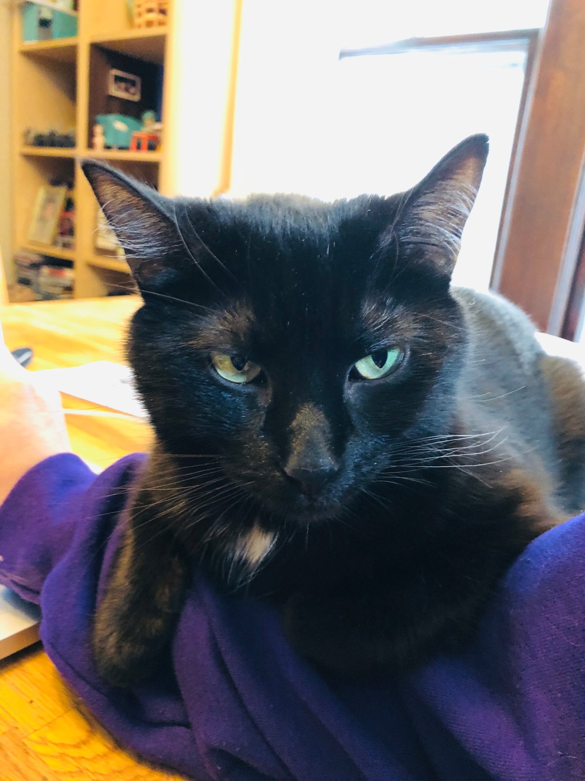 kelly’s afternoon work station | MLTSHP