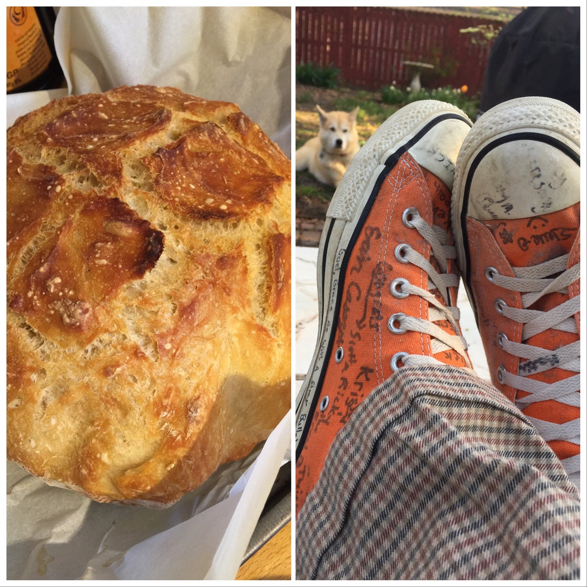 BY REQUEST ONLY: bread & shoes: they fight crime | MLTSHP