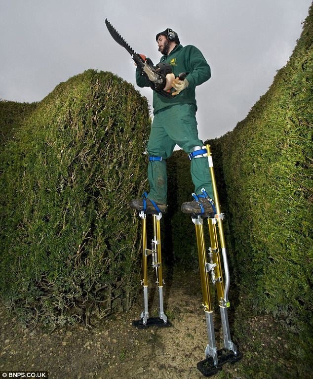 do the dumb things I gotta do today | MLTSHP