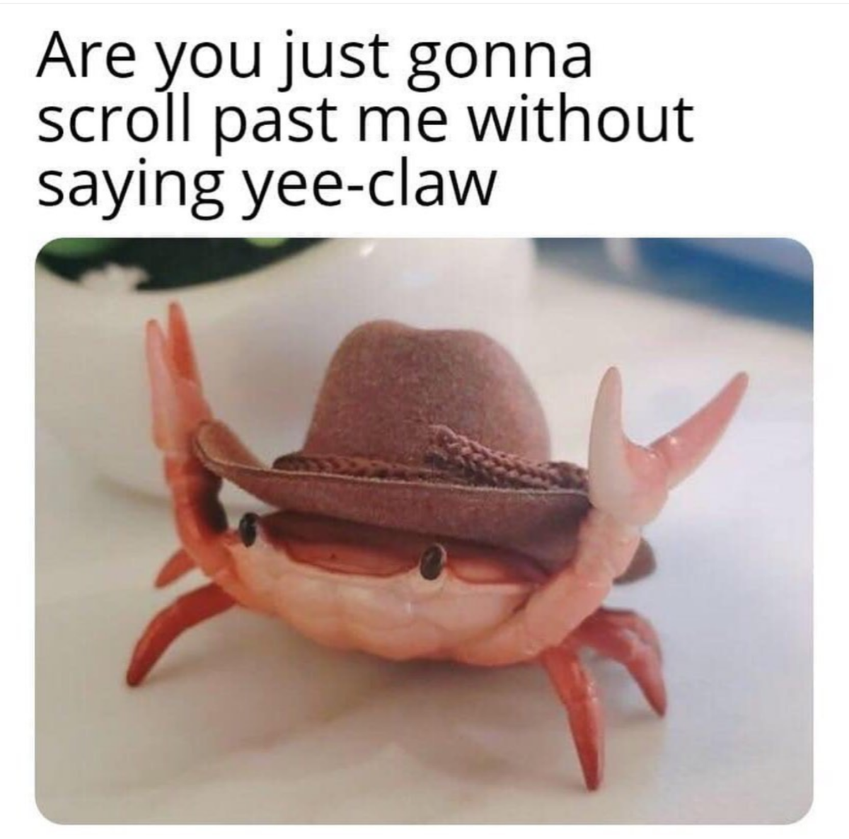 Yeeeeeeeeeeeeee | MLTSHP
