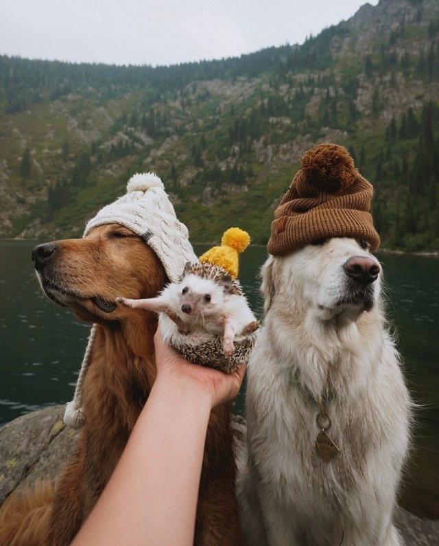 Take off, hoser | MLTSHP