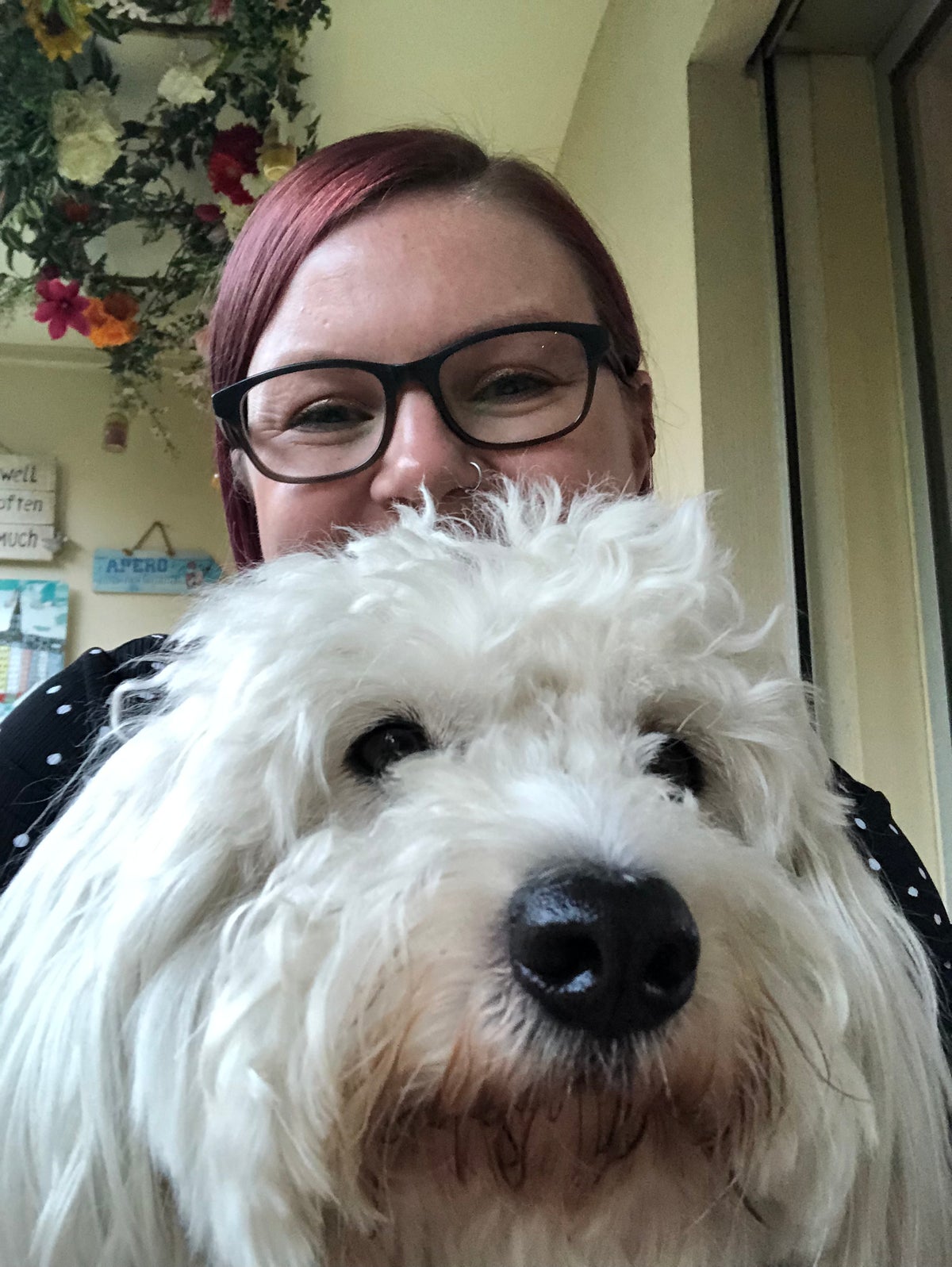 A very good boy | MLTSHP