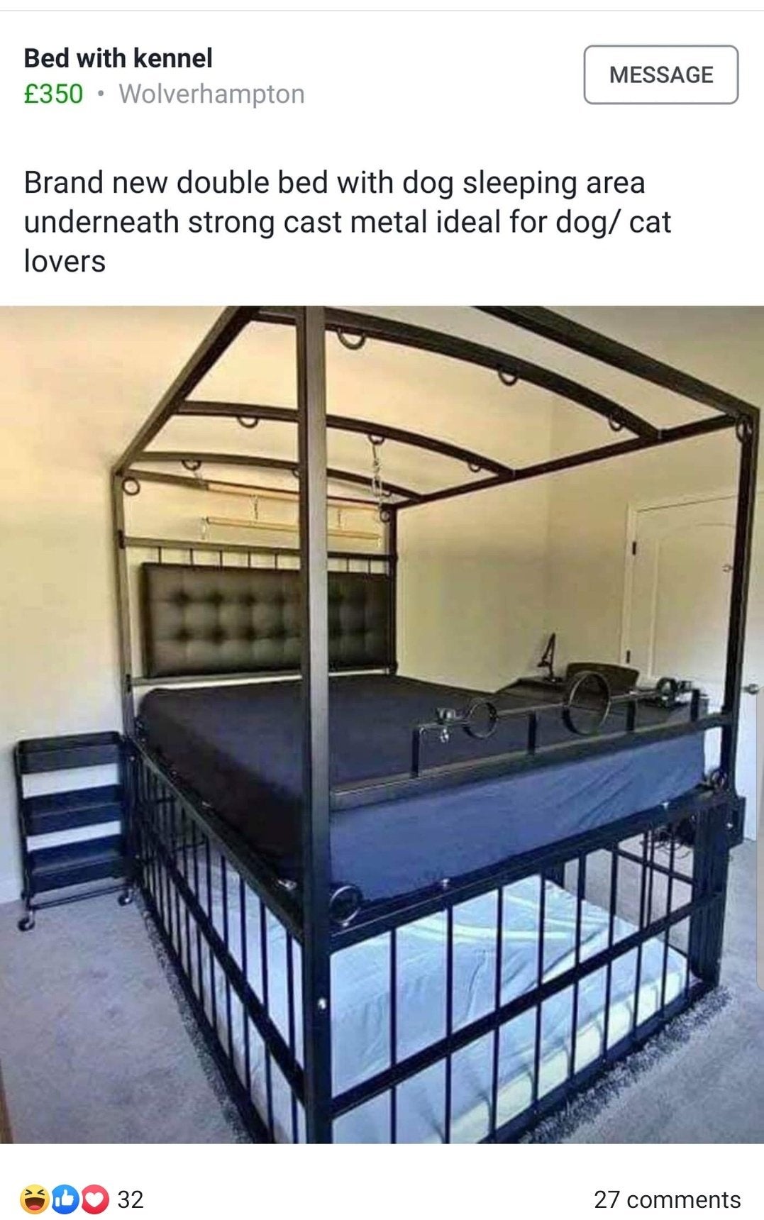 Who's your dog? | MLTSHP