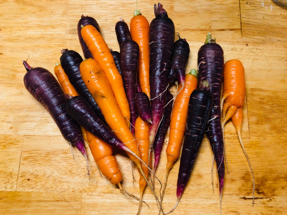 On the Ground at Chez Connell/Woosley | MLTSHP