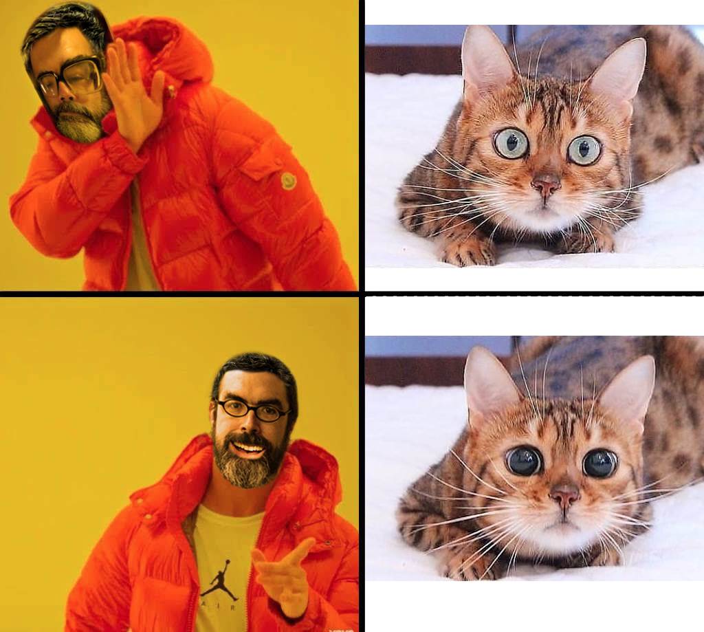 anyone done this yet? | MLTSHP