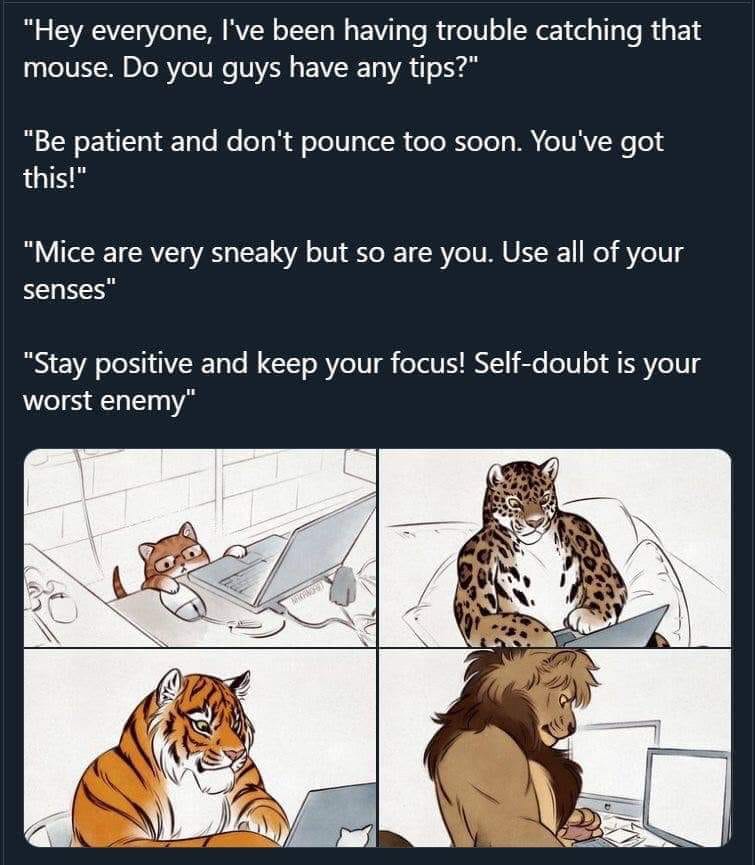 wholesome furry content | MLTSHP