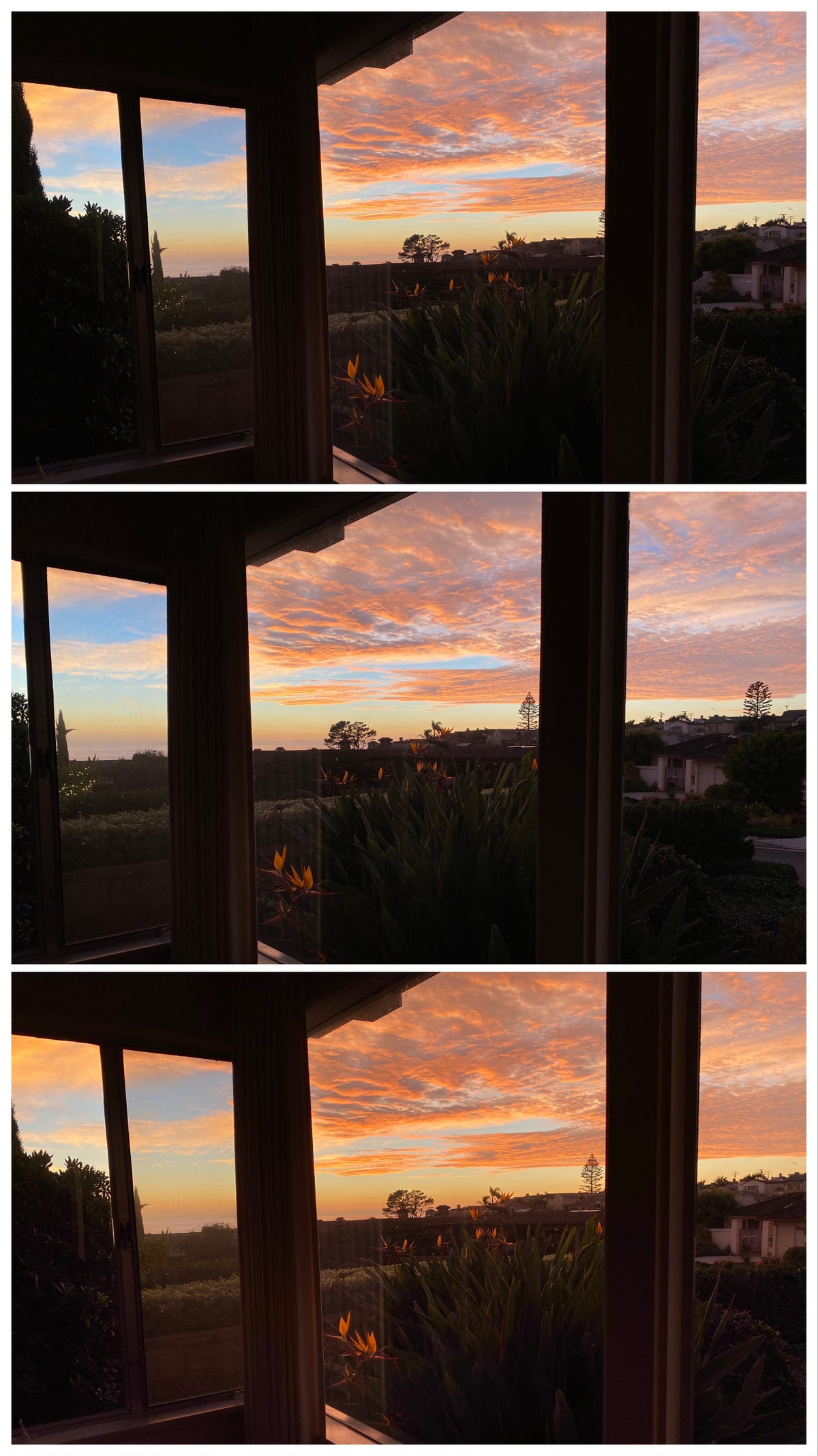 I have no idea what these buttons and settings on my camera phone do. | MLTSHP