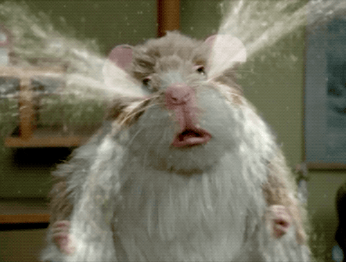 Sad Hamster | MLTSHP