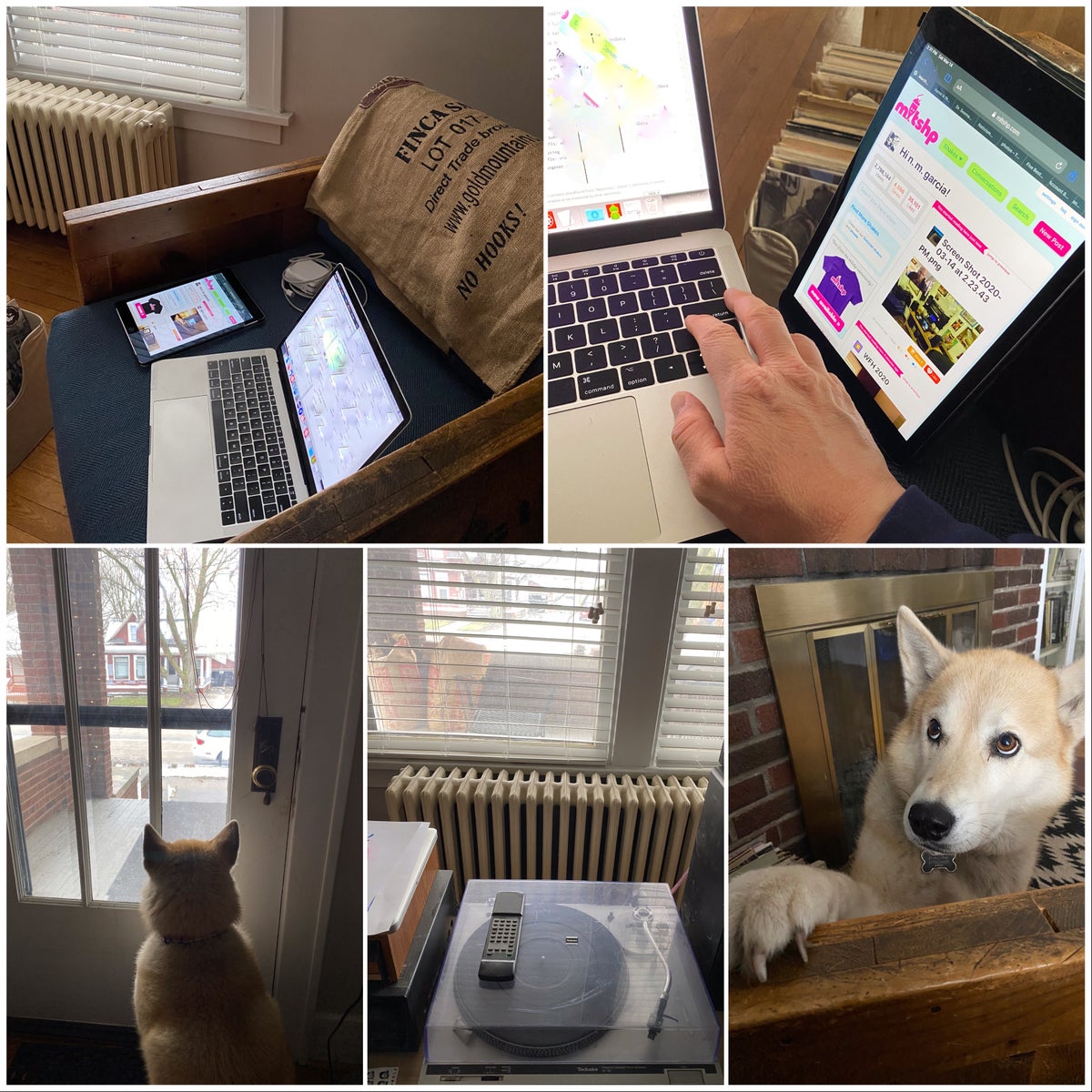 temporary WFH status: vaguely cozy! | MLTSHP