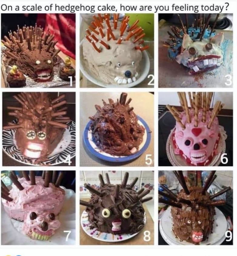 on a scale of hedgehog cake | MLTSHP