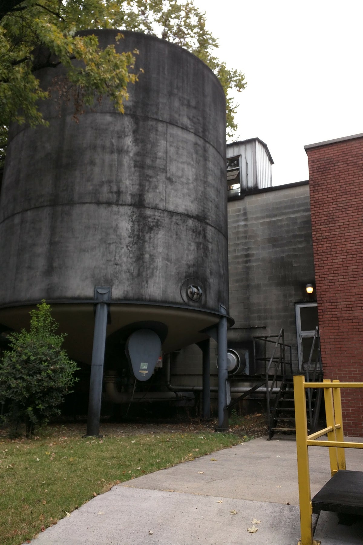 Tanks for Everything | MLTSHP