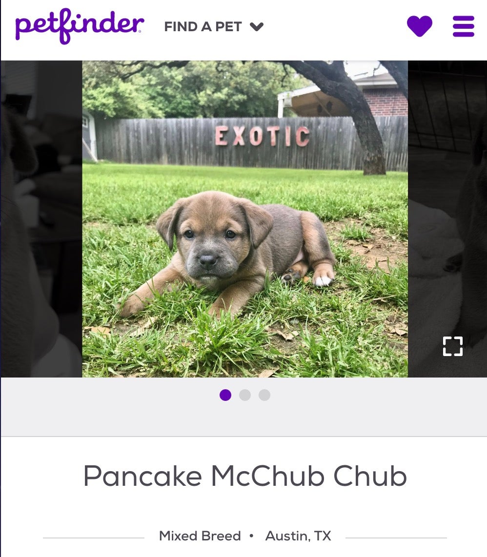 Pancake McChub Chub | MLTSHP