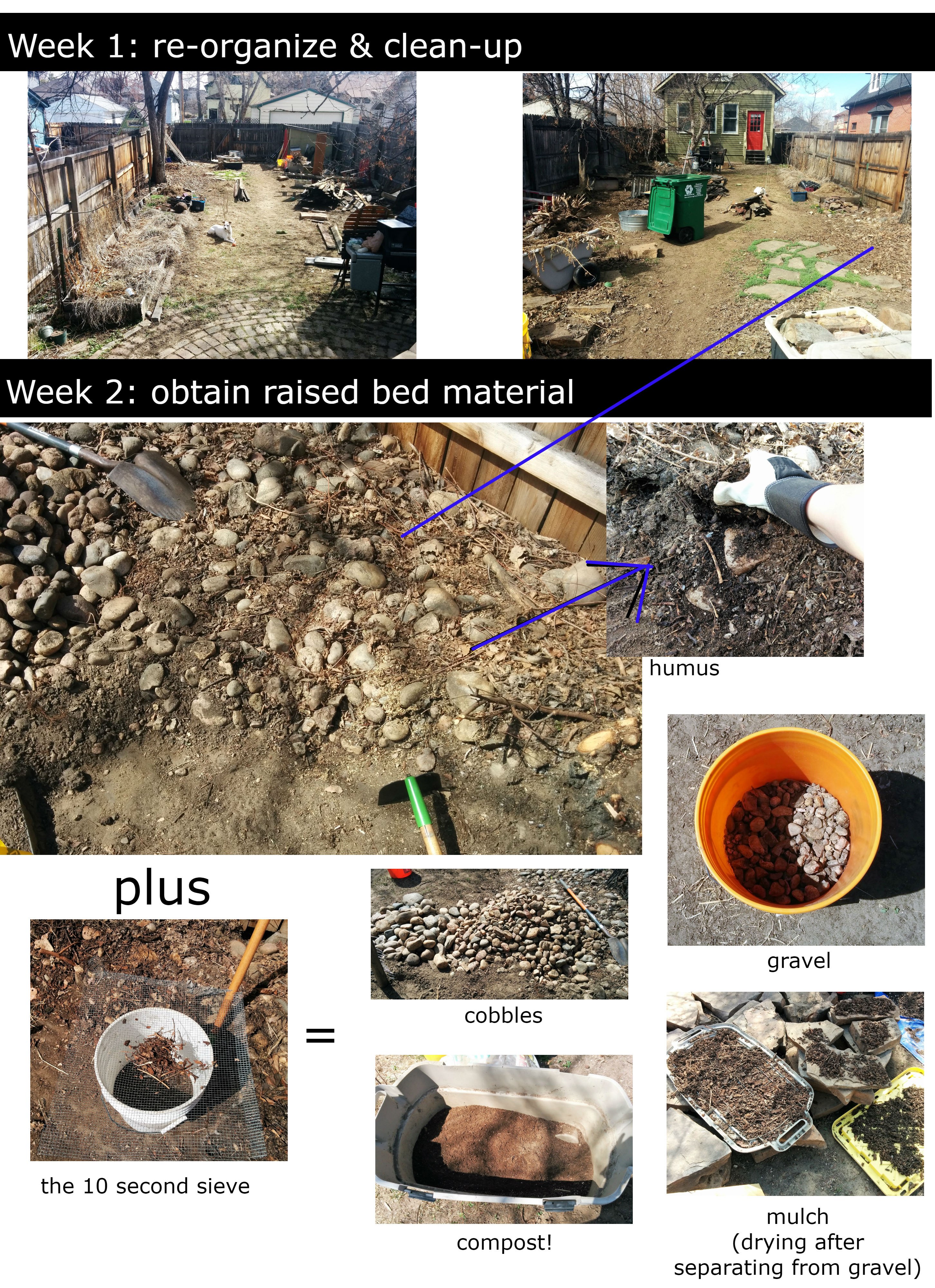 My No Budget, No Money "Virus Victory Vegetable Garden" Project! | MLTSHP