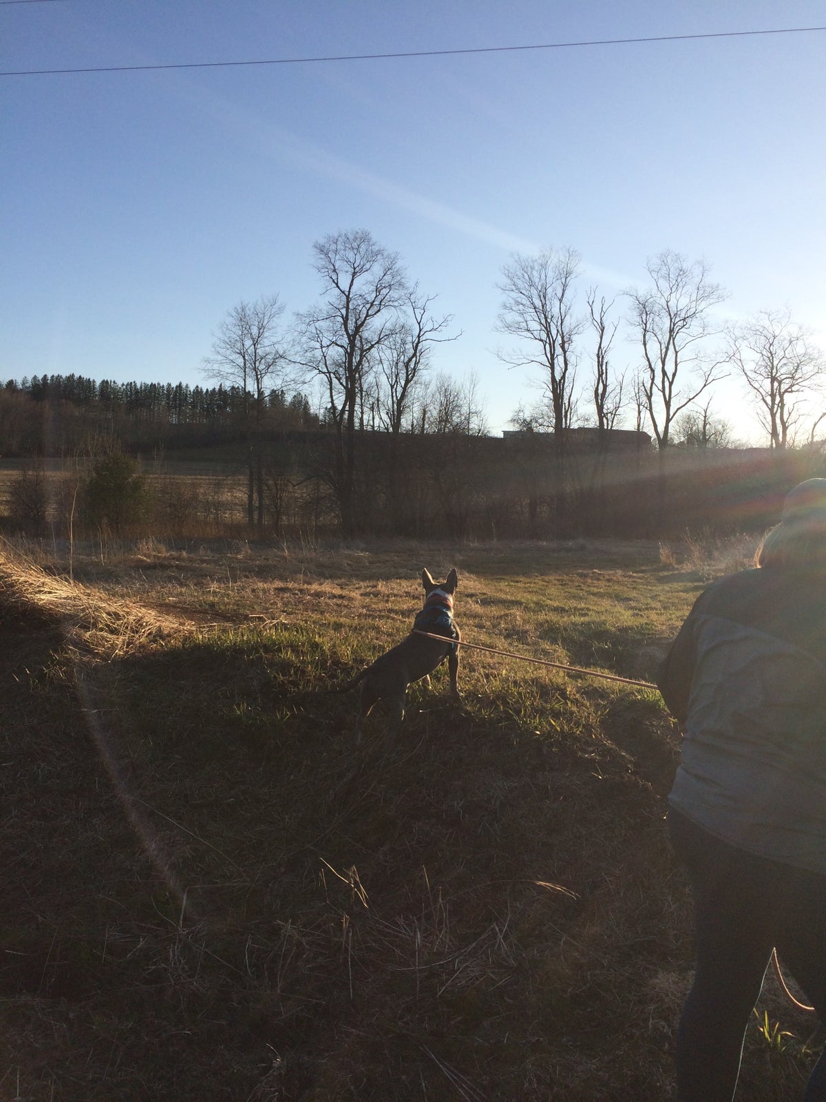 MLTSHP Meander | MLTSHP