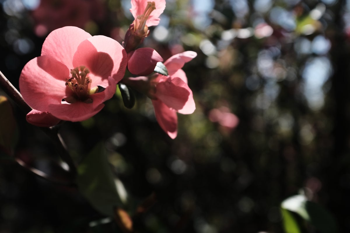 neither toil nor spin | MLTSHP