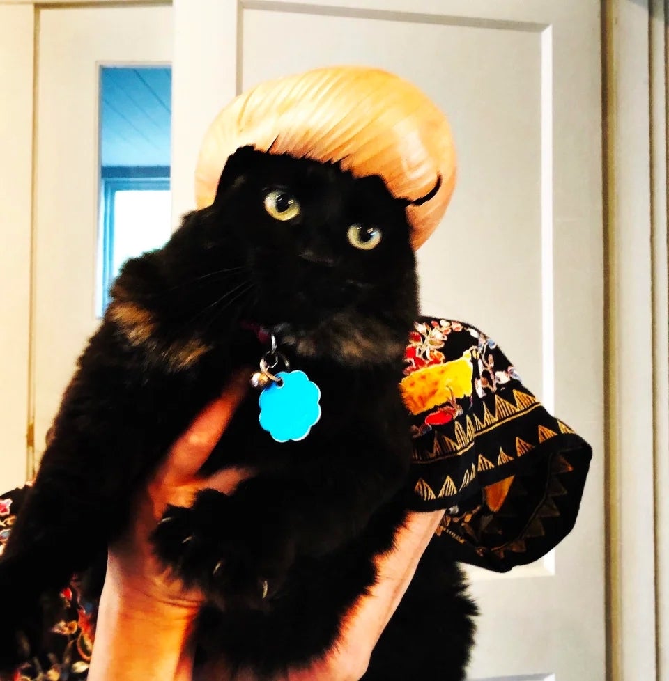 Cat Robertson | MLTSHP