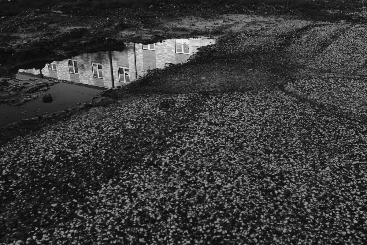 mltshp meanders: another week in paradise | MLTSHP