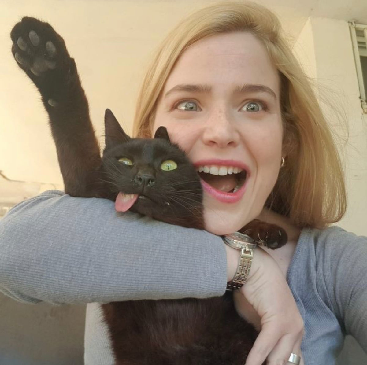 Activist strangles Nazi cat. | MLTSHP