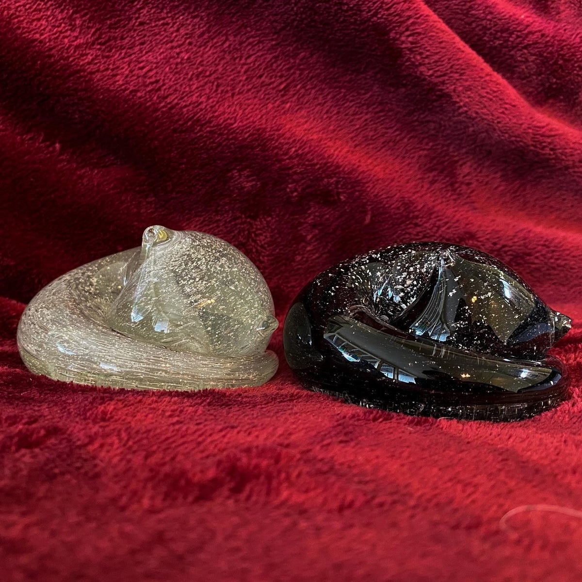 Together again | MLTSHP