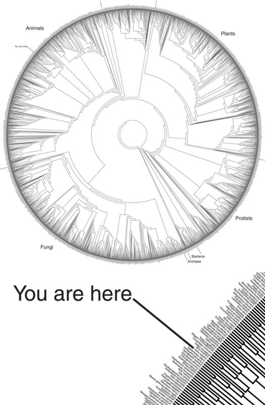 I am so important! | MLTSHP