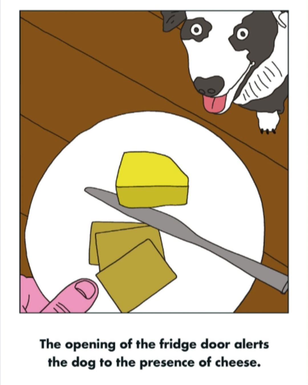 The presence of cheese | MLTSHP