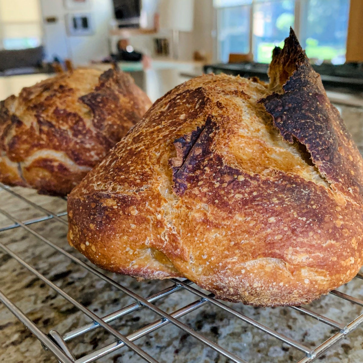 Half Loaves | MLTSHP