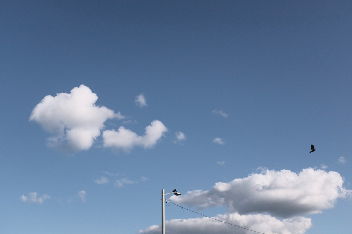 still meanderin’, still mltshpin’ | MLTSHP