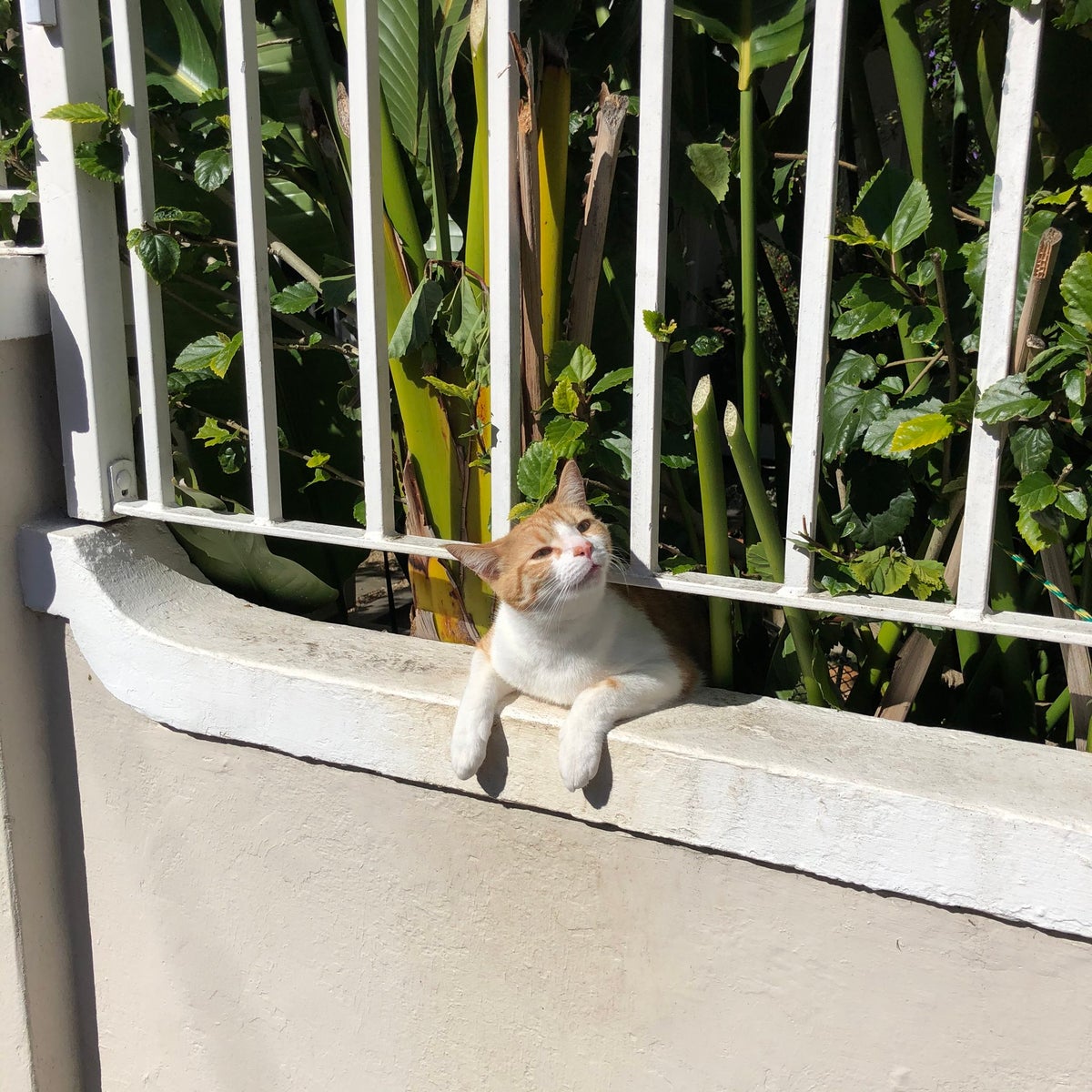 answer me these riddles three | MLTSHP