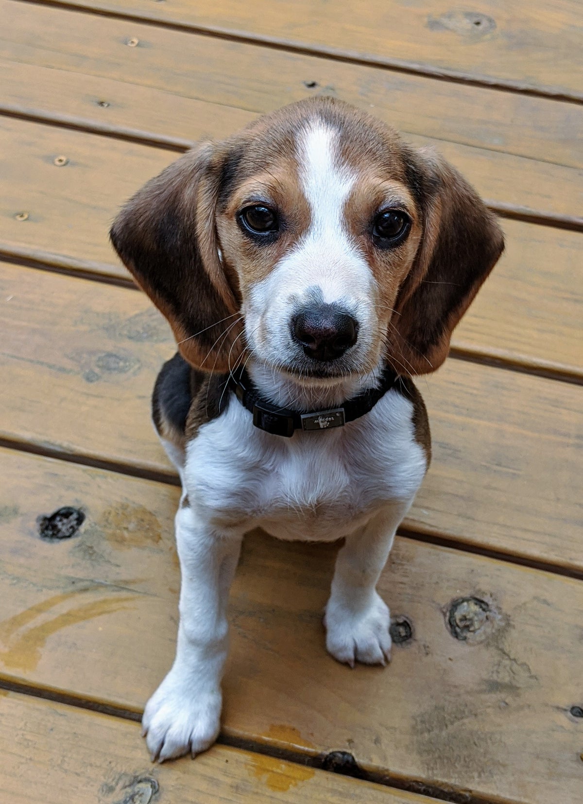 Hello, Nunu | MLTSHP