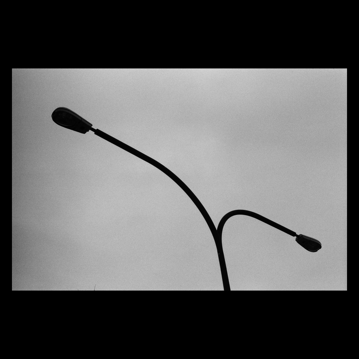 discovered that i kinda like how my photos look matted on black | MLTSHP