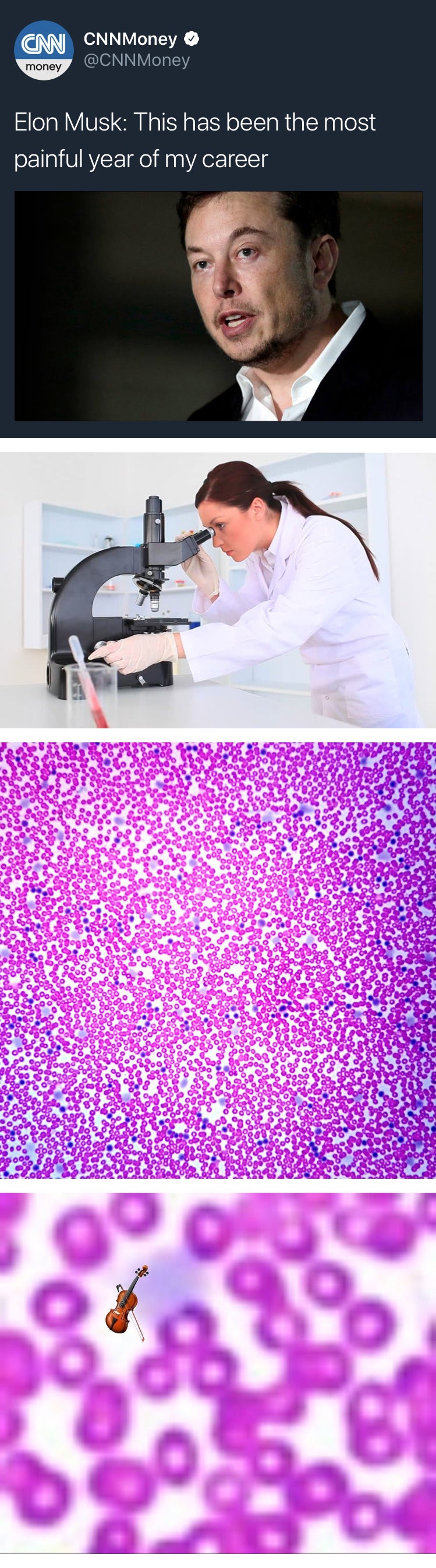 hang_in_there.jpg | MLTSHP