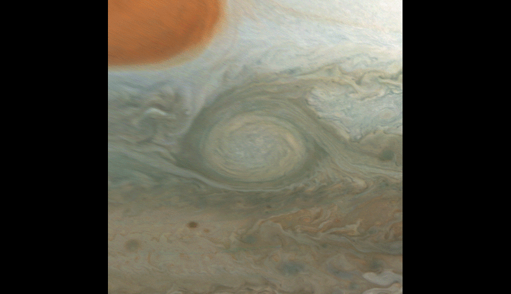 Oval BA on Jupiter | MLTSHP