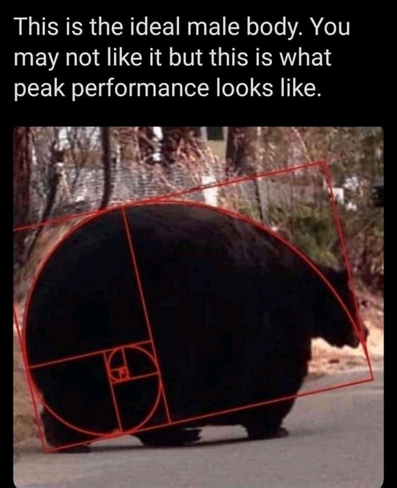 It's Fat Bear Week | MLTSHP