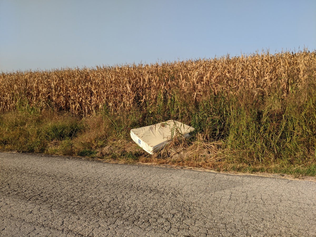 Mltshp Meander | MLTSHP