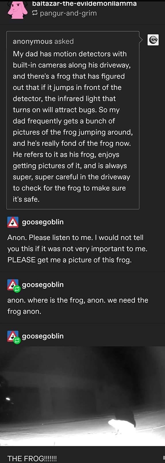 Frog Friend | MLTSHP