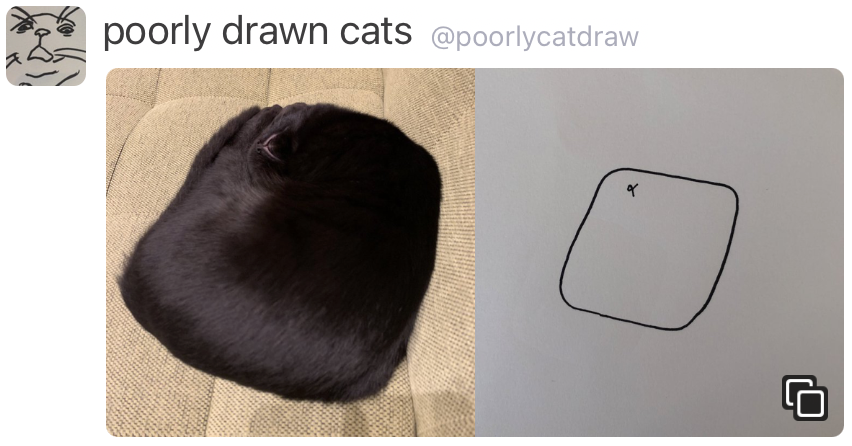 Poorly Drawn Cat | MLTSHP