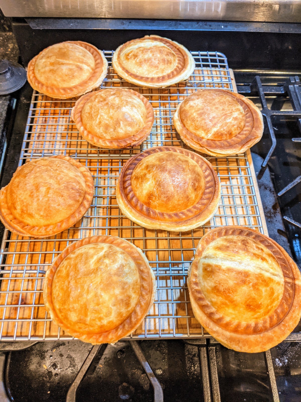 mini chicken pot pies | MLTSHP