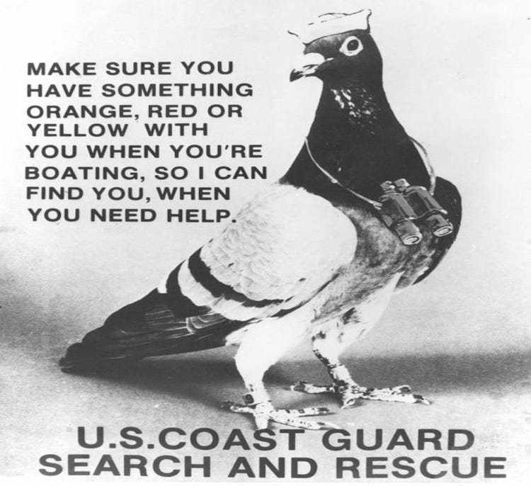 just a reminder that the Coast Guard trained pigeons to help rescue people | MLTSHP